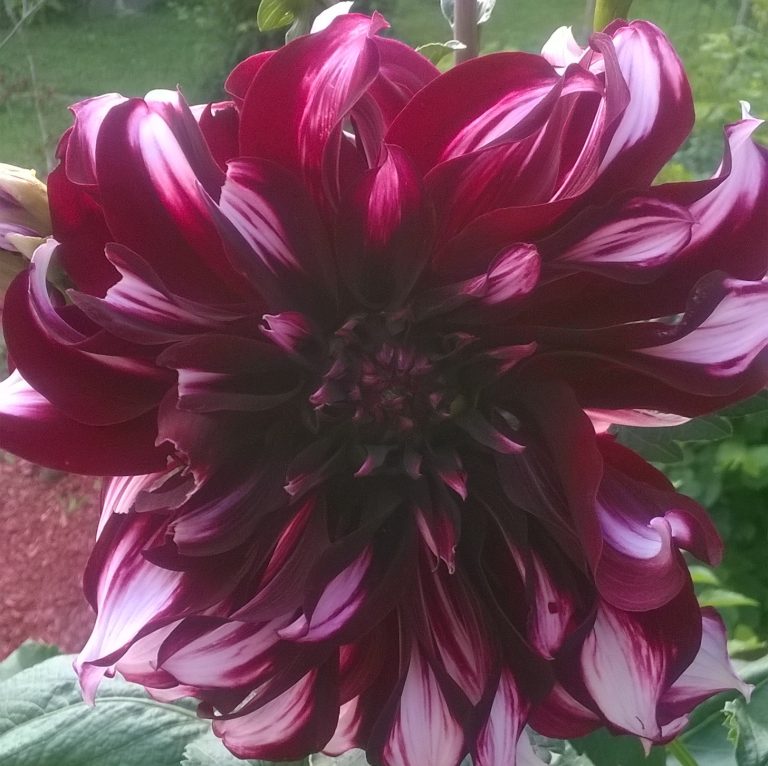 Dejstva O Hipnozi | Grega Gregorec | Portal Duhovnost